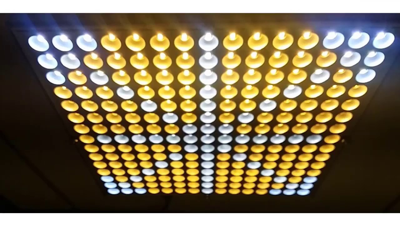 Indoor Farming Which you Can Do Yourself- Grand Solar Minimum ...