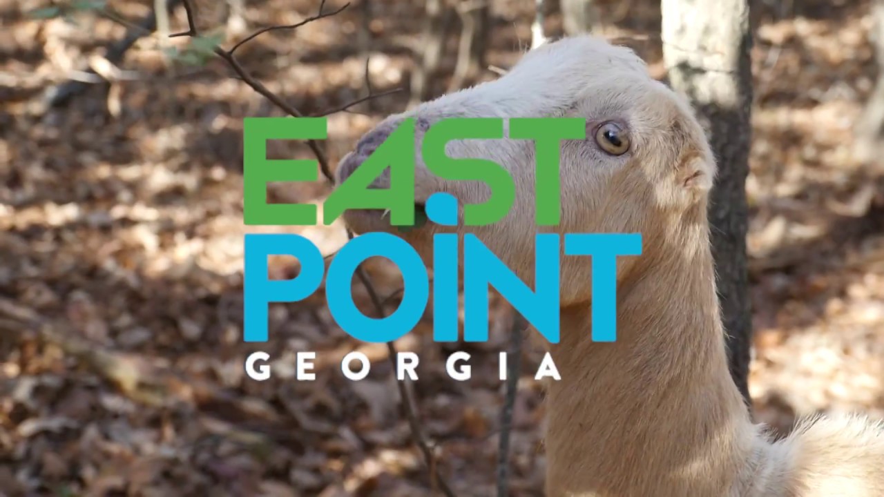 Greet The Goats 2018 - YouTube