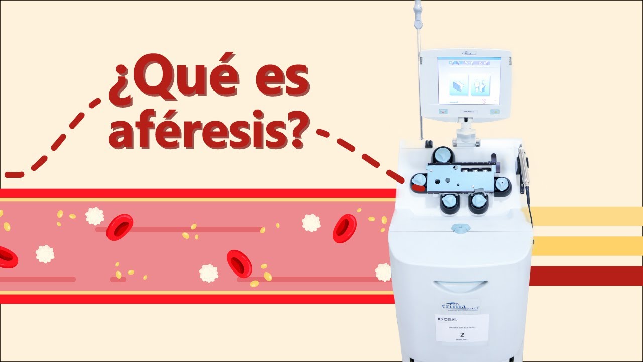 ¿Qué es Aféresis? - YouTube