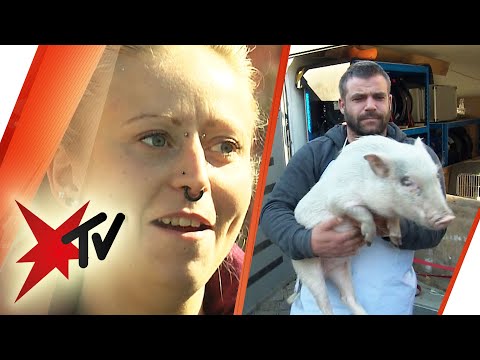 Schlachten auf dem Wochenmarkt: Wie reagieren die Besucher? | stern TV (2015)