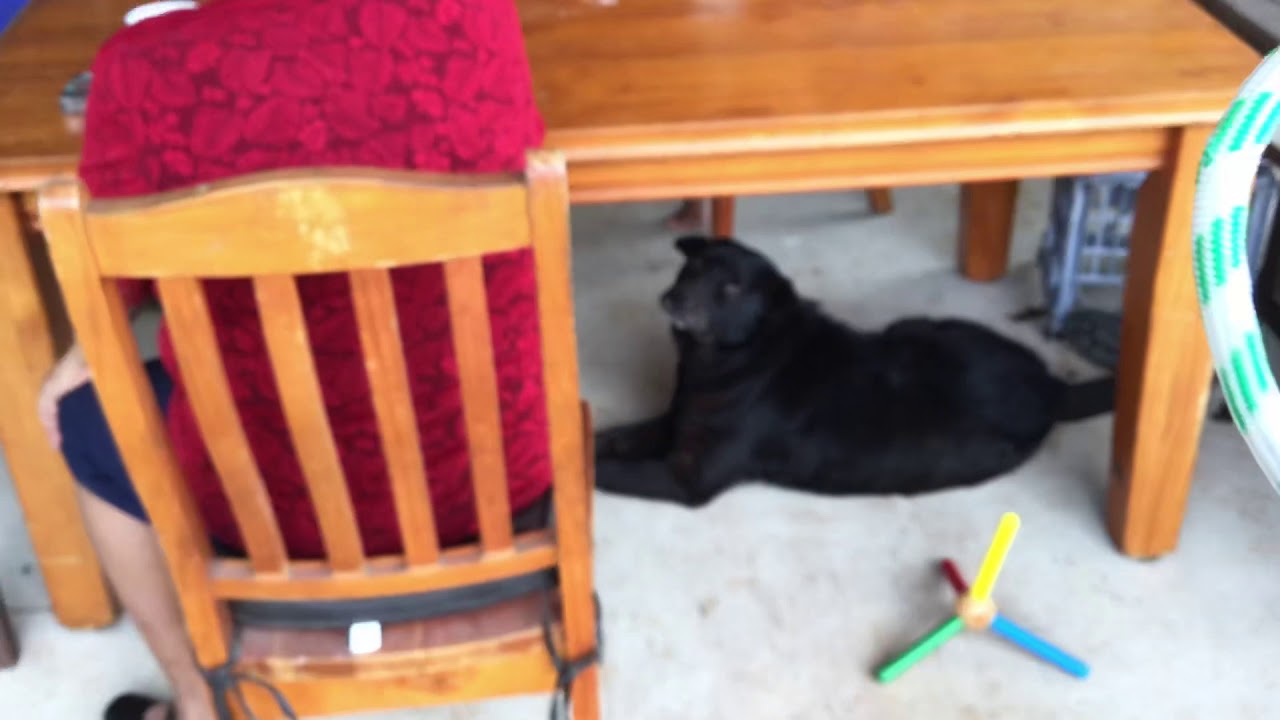 My Aunts House Youtube