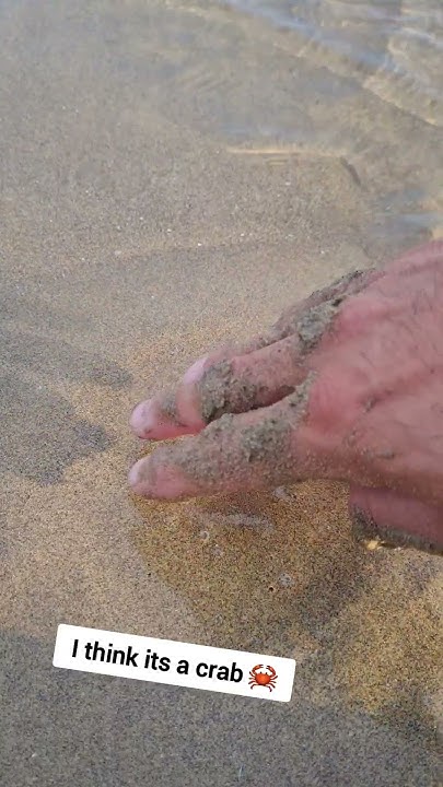 i think its a crab - YouTube