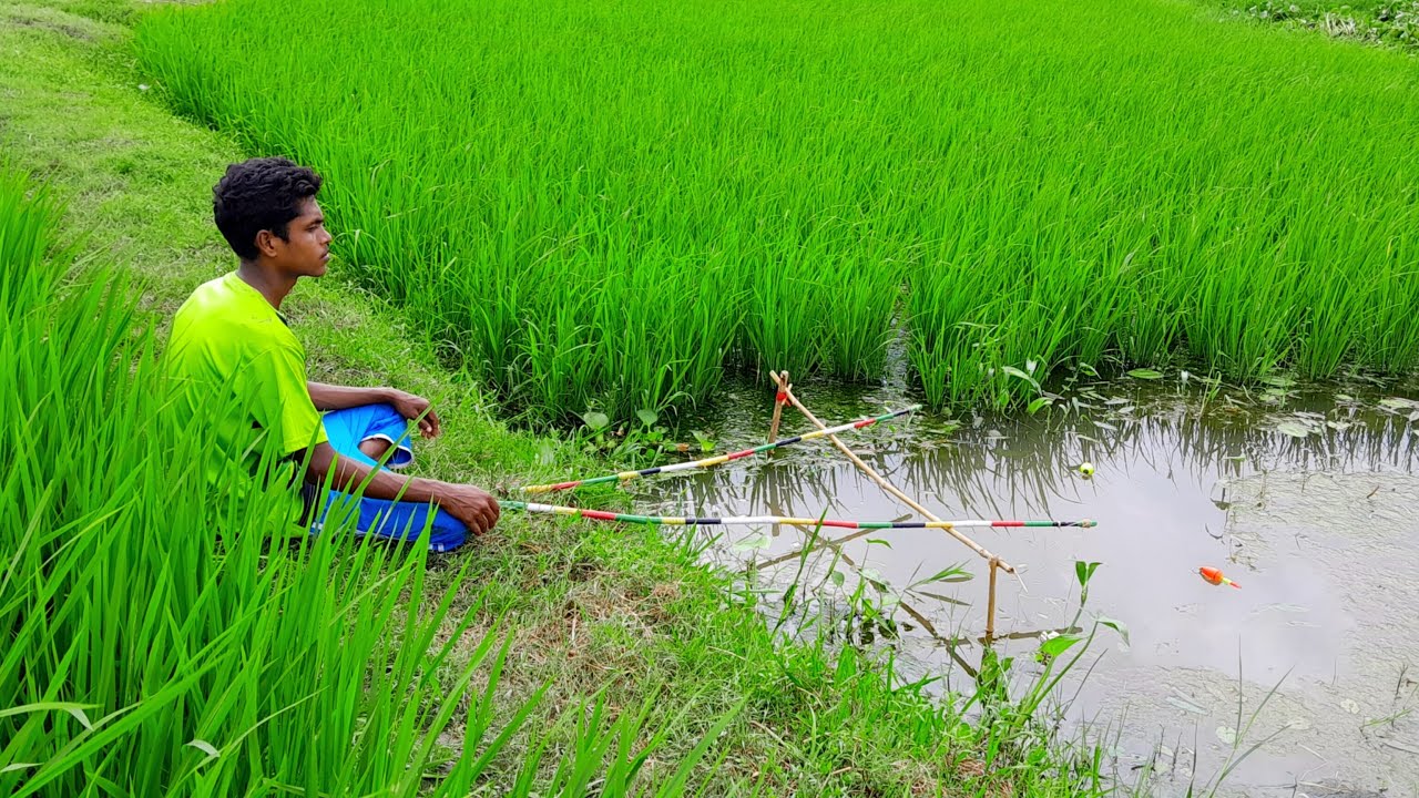Fishing Video || The traditional village boy fishing scene will amaze ...