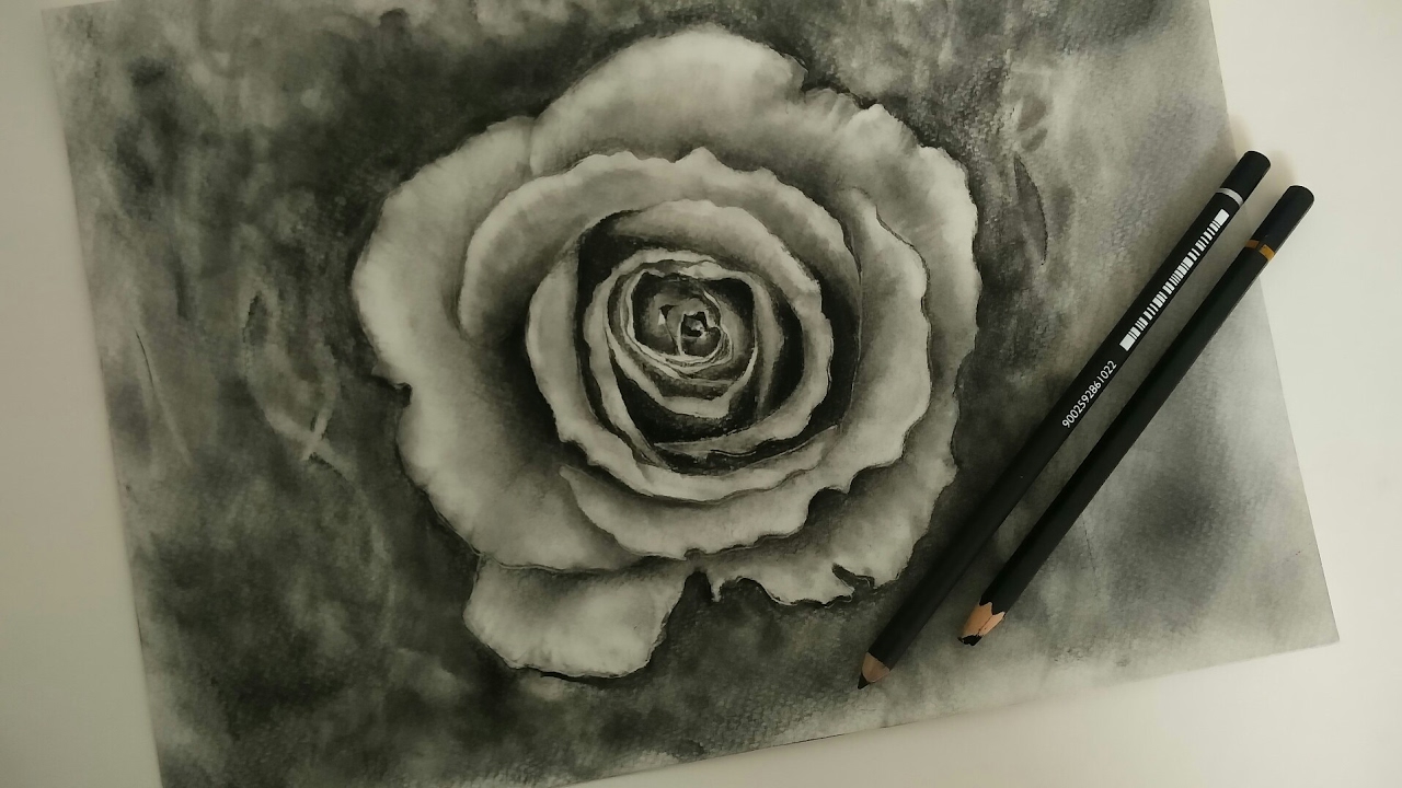 Sketch of a realistic rose | Sketching Tutorial - YouTube