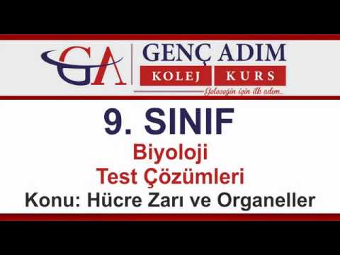 9 Biyoloji Hücre Zarı ve Organeller