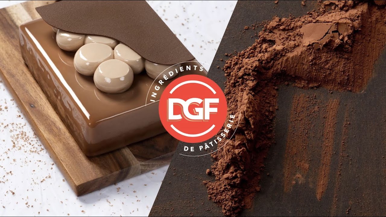 Film présentation marque DGF - YouTube