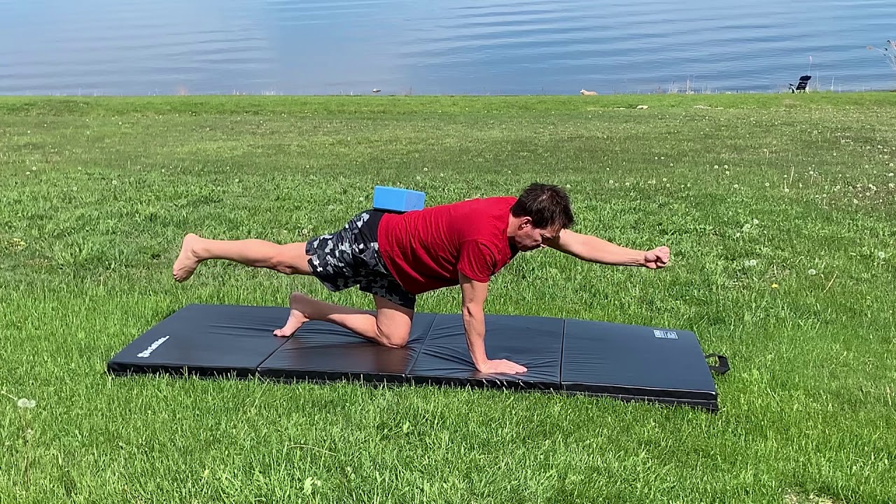 Bird Dog Exercise Progression