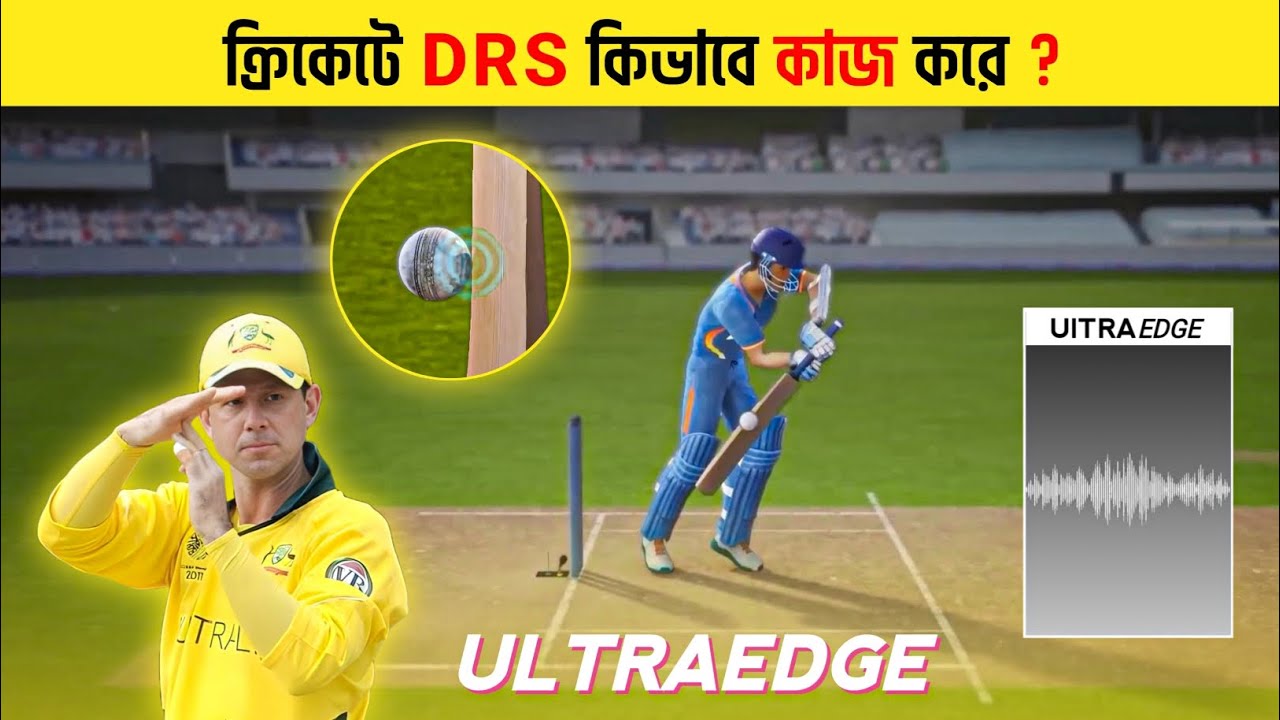 ক্রিকেটে DRS সিস্টেম কিভাবে কাজ করে? | How DRS System Works In Cricket? 😱 - YouTube