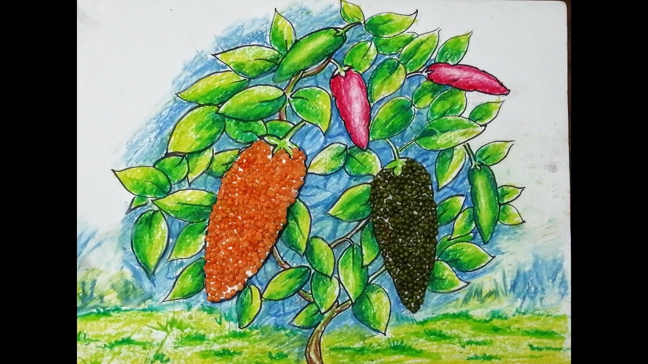 How to draw Chillies with dal (Chilies-Dal Pasting ) - YouTube