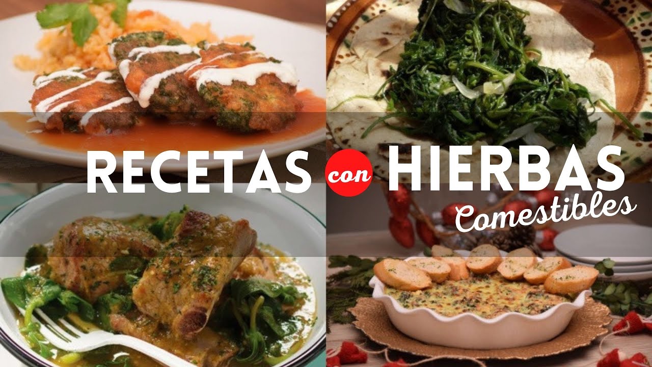 Recetas con hierbas comestibles | Platillos mexicanos tradicionales ...