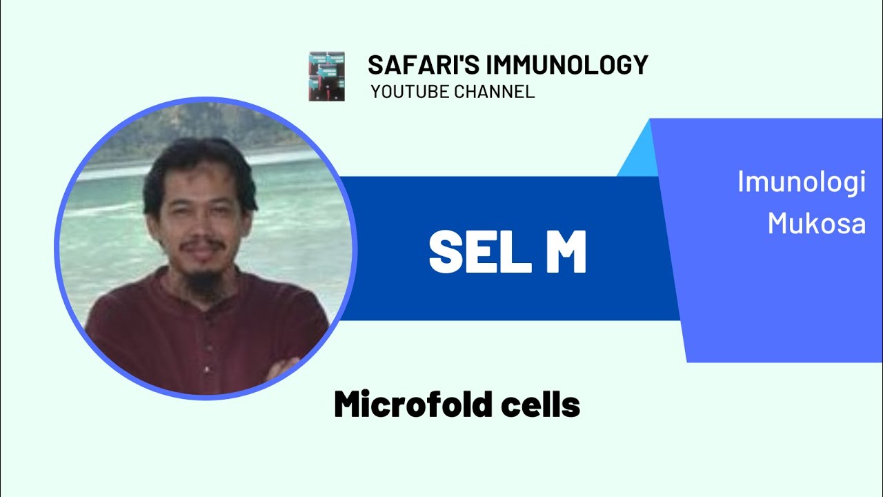 SEL M (MICROFOLD CELLS) - YouTube