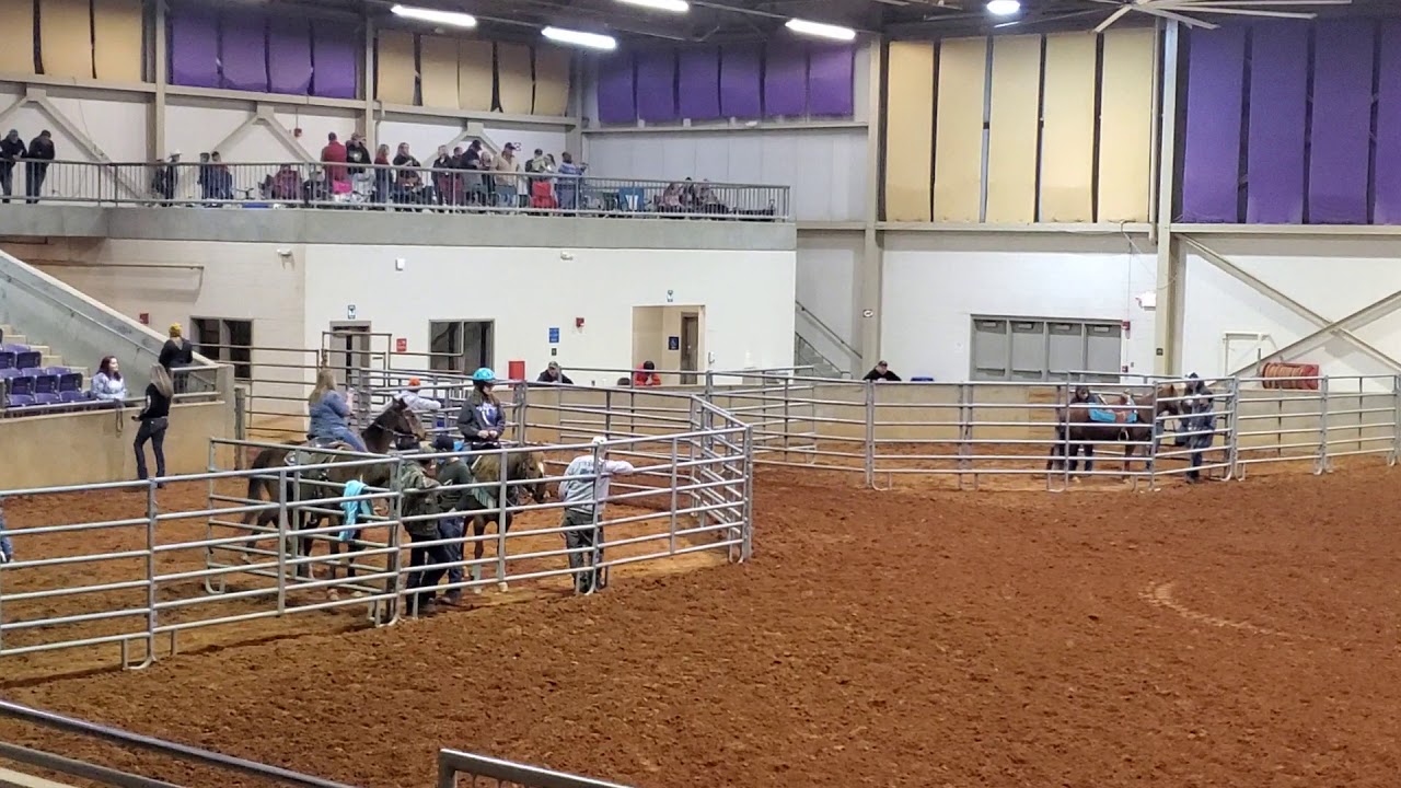 Bareback barrel racing Sara Walker - YouTube