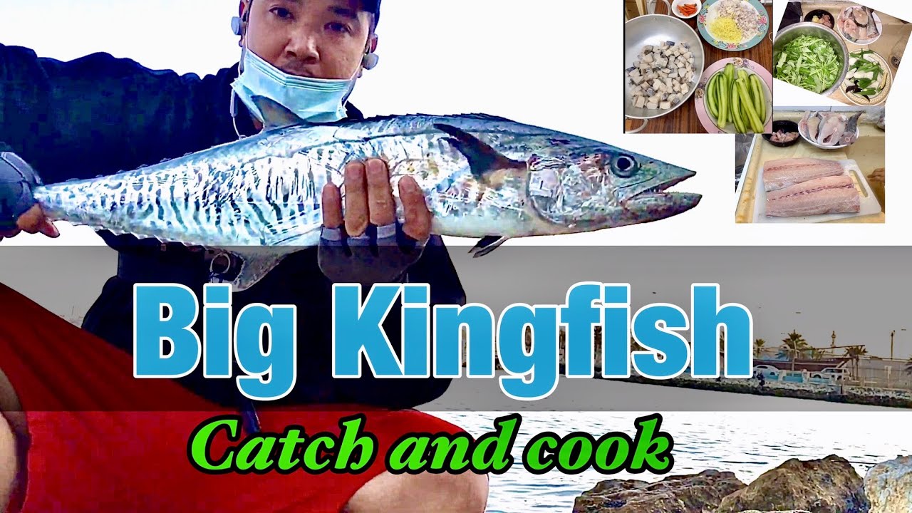 Kingfish in Bahrain # Catch and Cook # Fishing in Bahrain / middle east ...