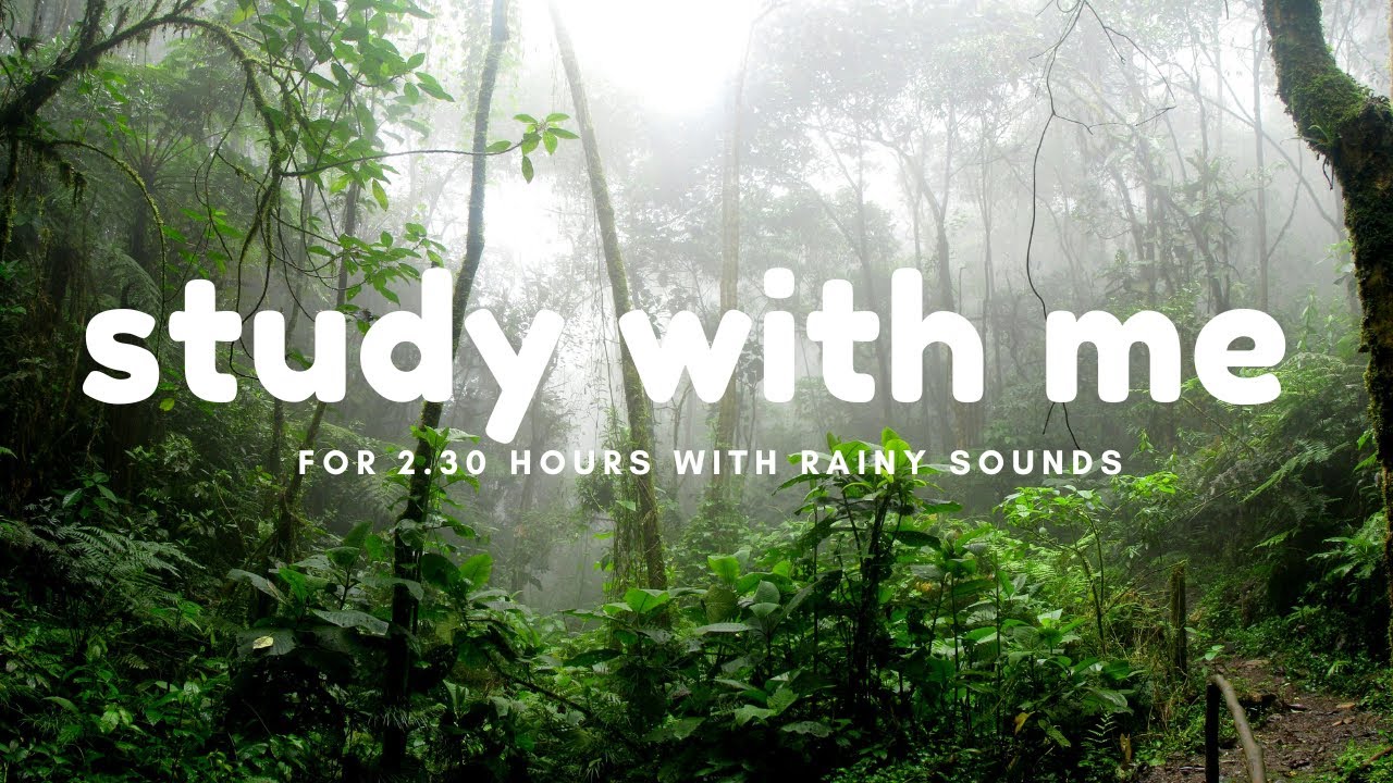 25 minutes study Pomodoro timer for 2 hours with calm rainy sound,5 ...