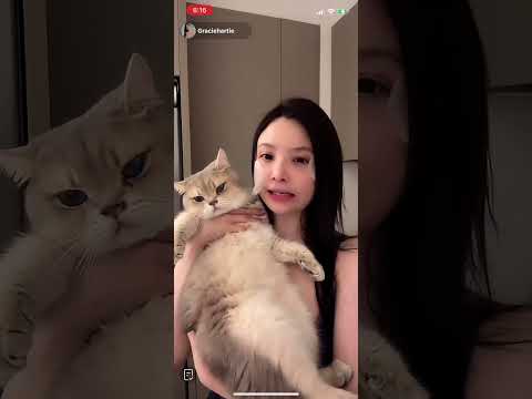 Beautiful Tiktok Livestreamer #graciehartie #sg - 😻😻3
