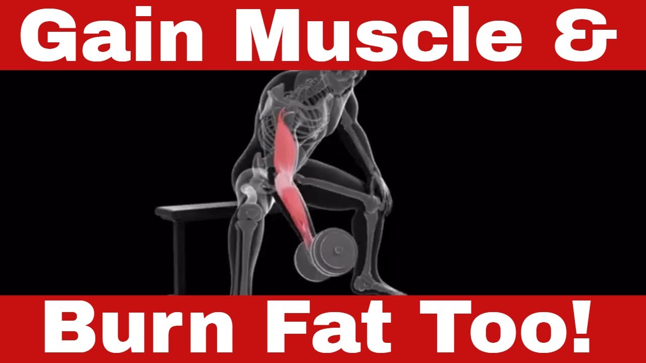 Strength Training for Beginners: Blast Fat; Build Muscle The Right Way ...