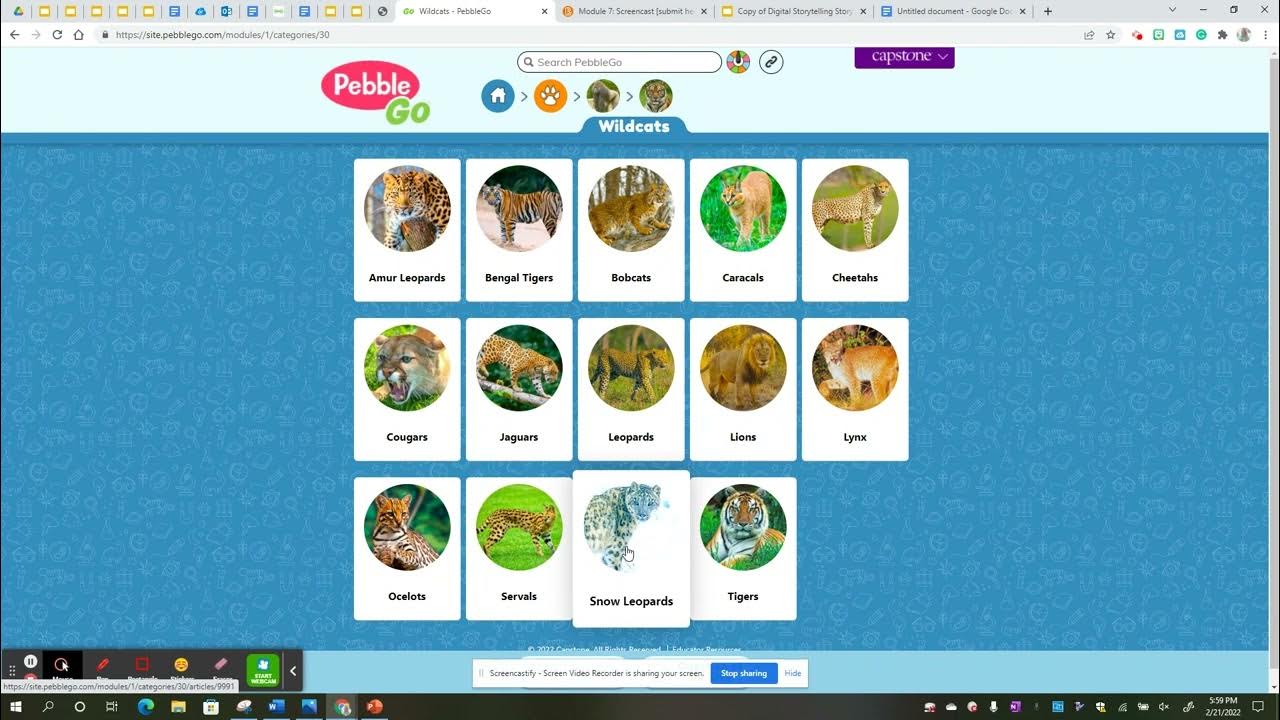 Using PebbleGo for Animal Research - YouTube