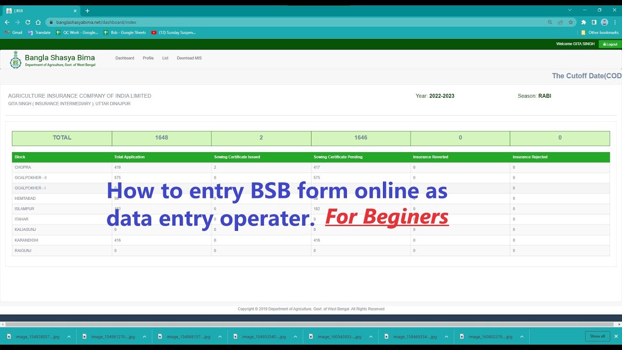 How To Entry BSB form Online As A Data Entry Operater #WorkFromHome ...