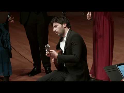 Vivaldi: Concerto in D major for Mandolin, Strings, and Continuo, RV 93, I. Allegro Giusto