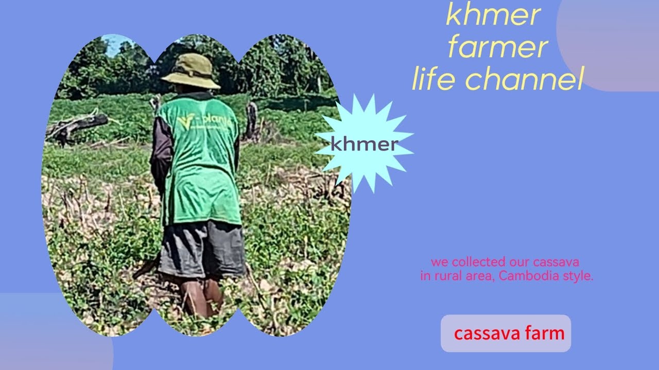 one farmer cassava back home#automobile - YouTube
