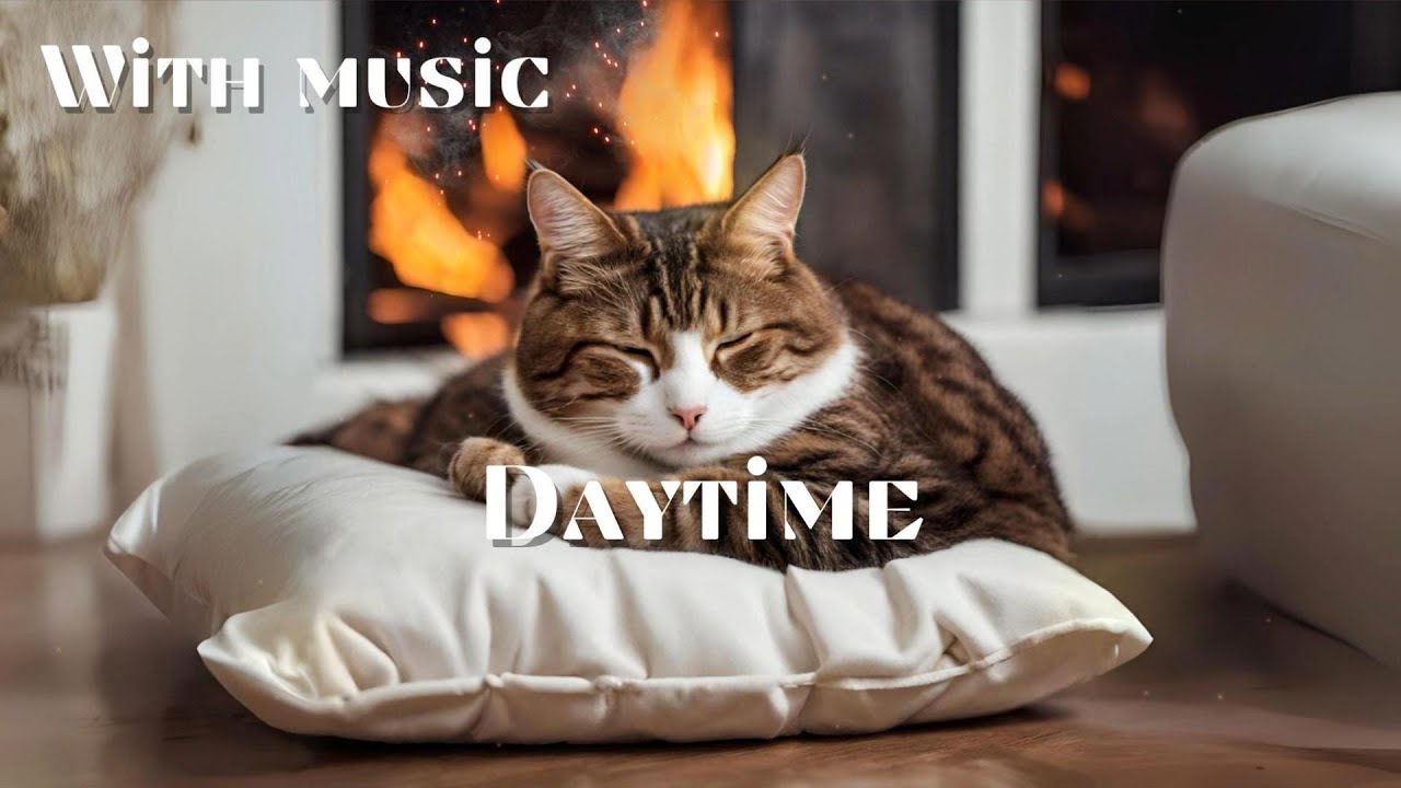 Cat Nap Music ASMR (Cat Purring, Fire Crackle, Birds, Piano Violin ...