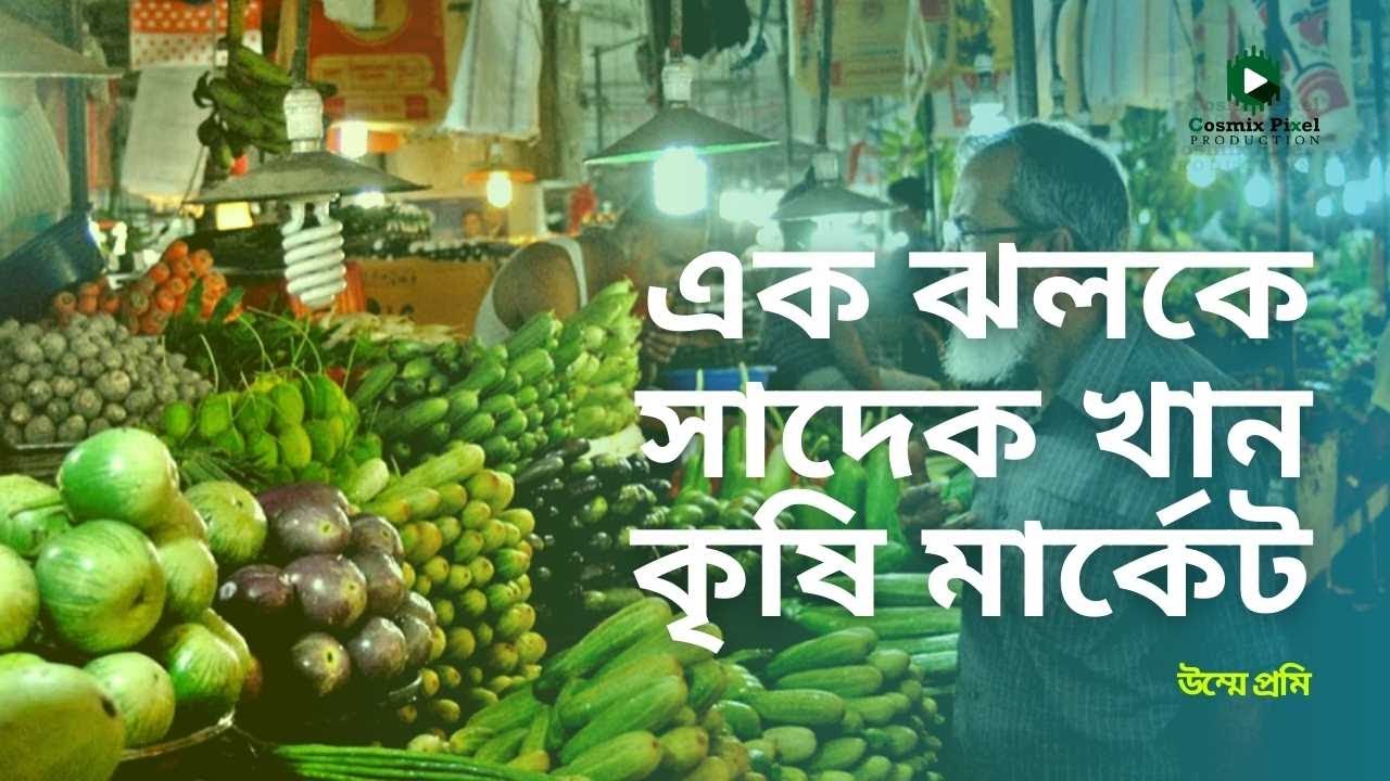 এক ঝলকে মোহাম্মদপুর সাদেক খান কৃষি মার্কেট | Sadek Khan Krishi Market - YouTube