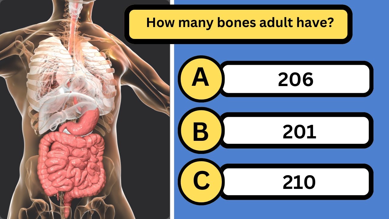 Human Body Quiz | 30 Fun Biology Questions with Answers | Test Your ...
