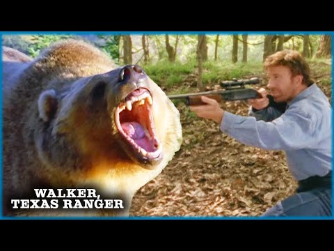 Walker & BLOOD-LUSTED Bear Take Down Money Launderers | Walker, Texas Ranger
