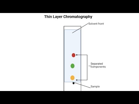 Sample Preparation for TLC - YouTube