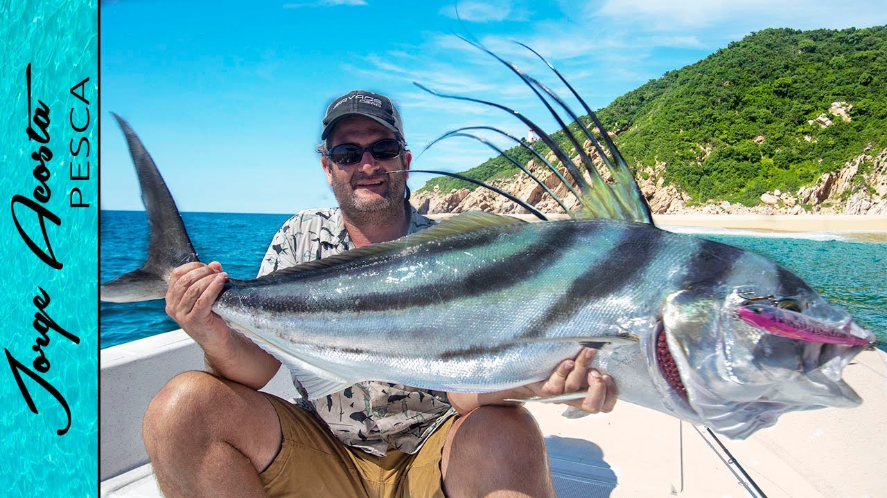 LA GALLIZA!!! ESPECTACULAR pesca de PEZ GALLO en PUERTO VALLARTA - con ...