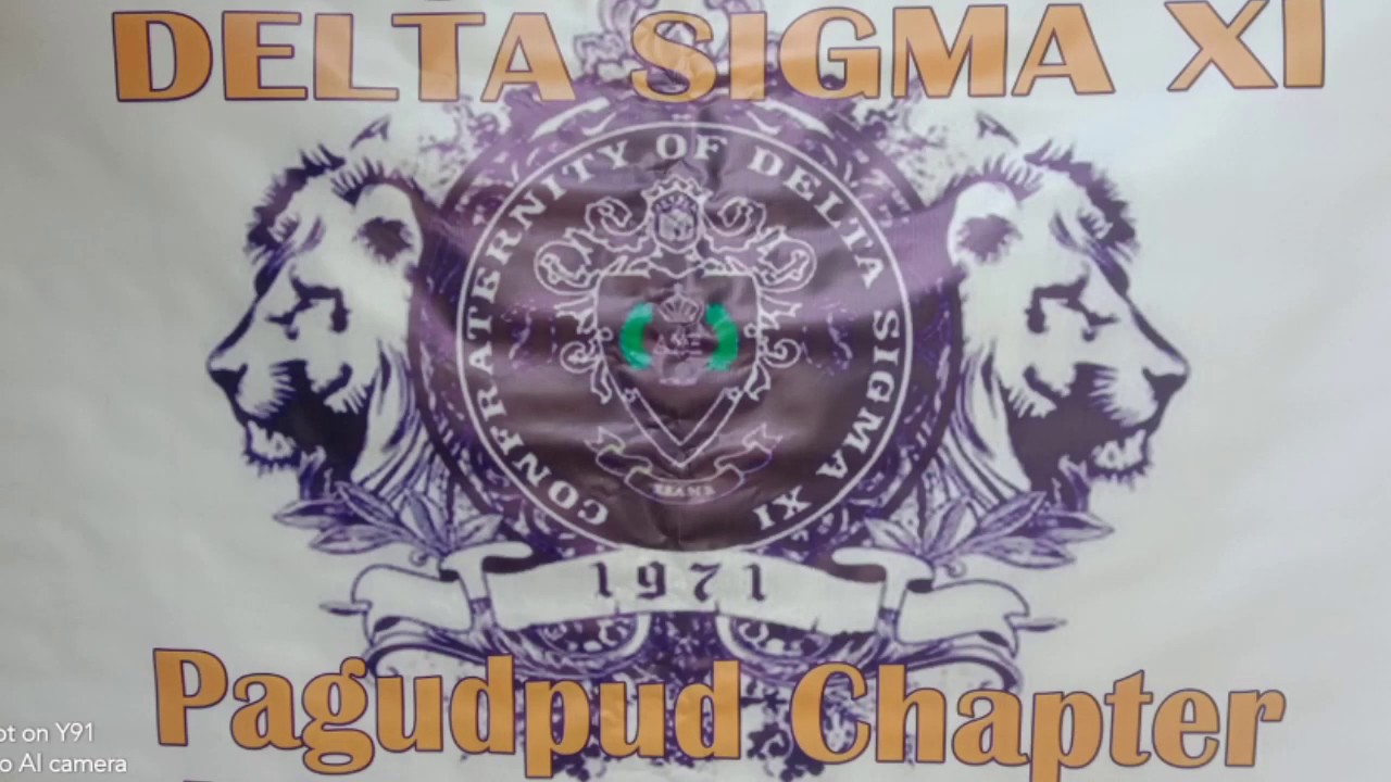 SNACK FOR FRONTLINERS/DELTA SIGMA XI (pagudpud chapter) - YouTube