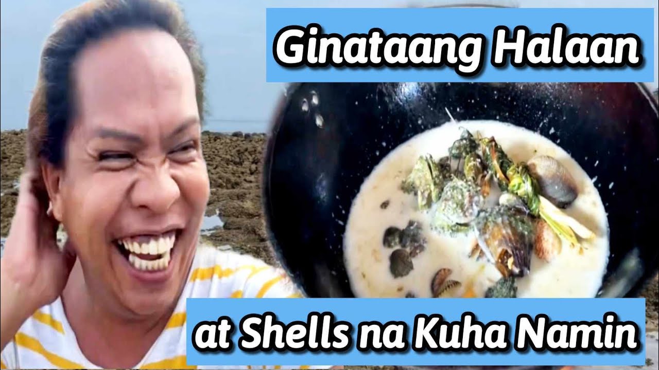Ginataang Halaan at shells na kuha namin/ yummy😘😘 - YouTube
