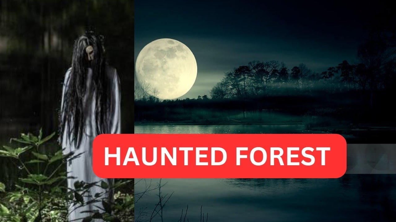 HAUNTED FOREST| Horror video| Wonder World - YouTube