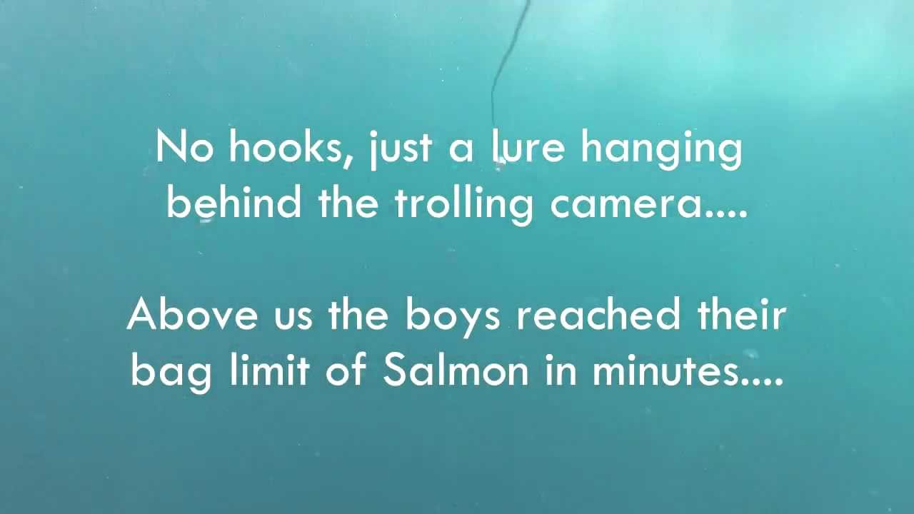 Trolling for Salmon with Fleurieu Charters - YouTube
