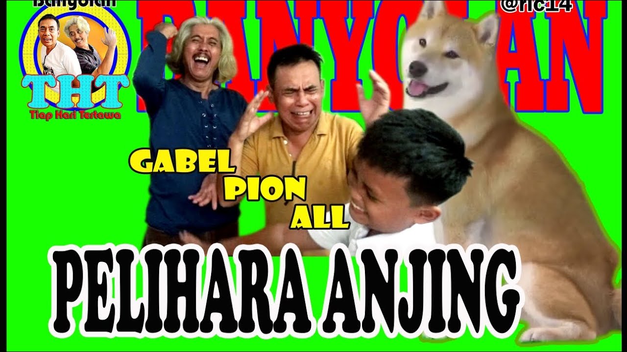 Pelihara Anjing Haram - YouTube