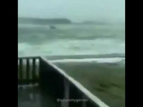 Man SURFS through giant waves during hurricane IRMA [meme] - YouTube