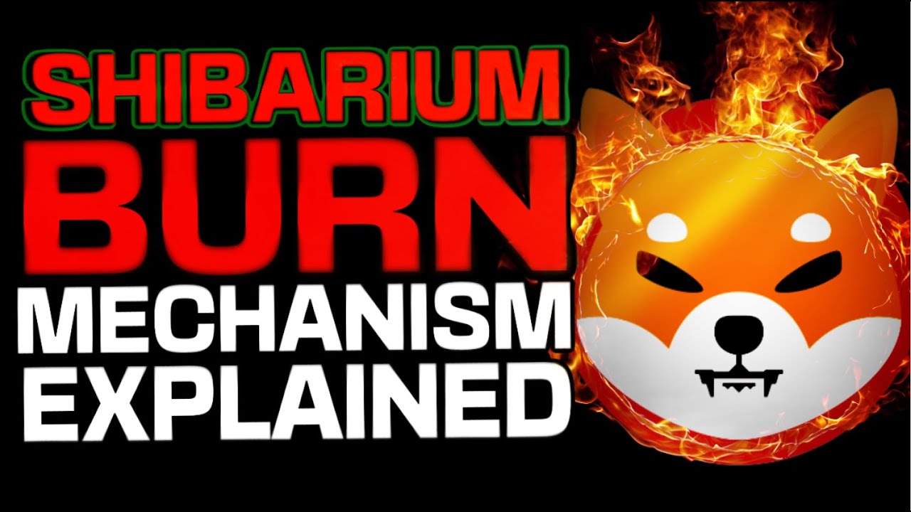 SHIBARIUM BURN MECHANISM EXPLAINED!!! - YouTube