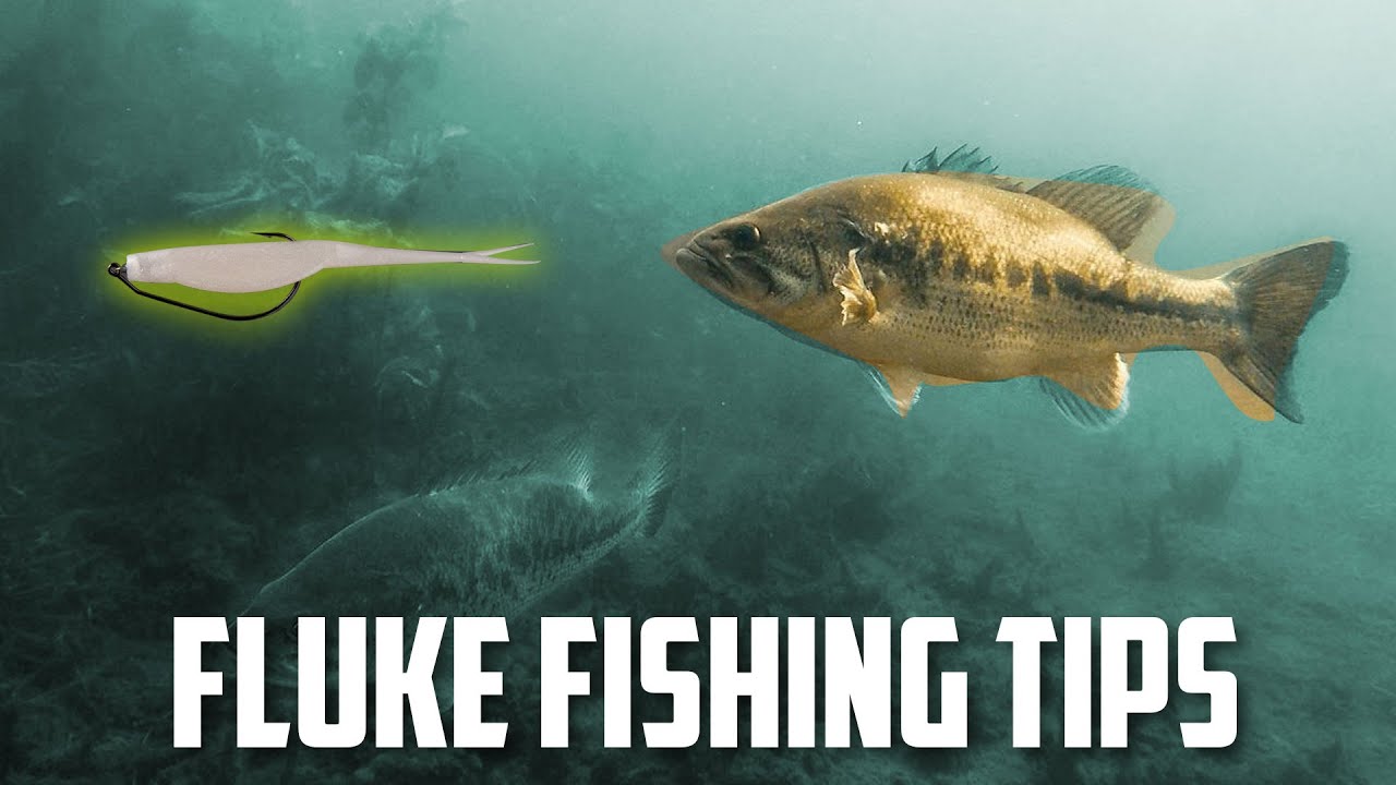 MUST KNOW FLUKE Bass Fishing Rigging & Tips - Beginner Fishing Tips ...