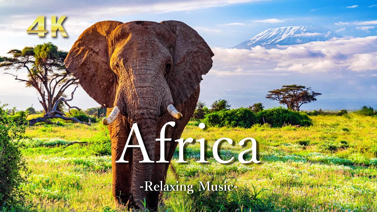 Africa 4K - Scenic Relaxation Film With Calming Music | アフリカ - YouTube