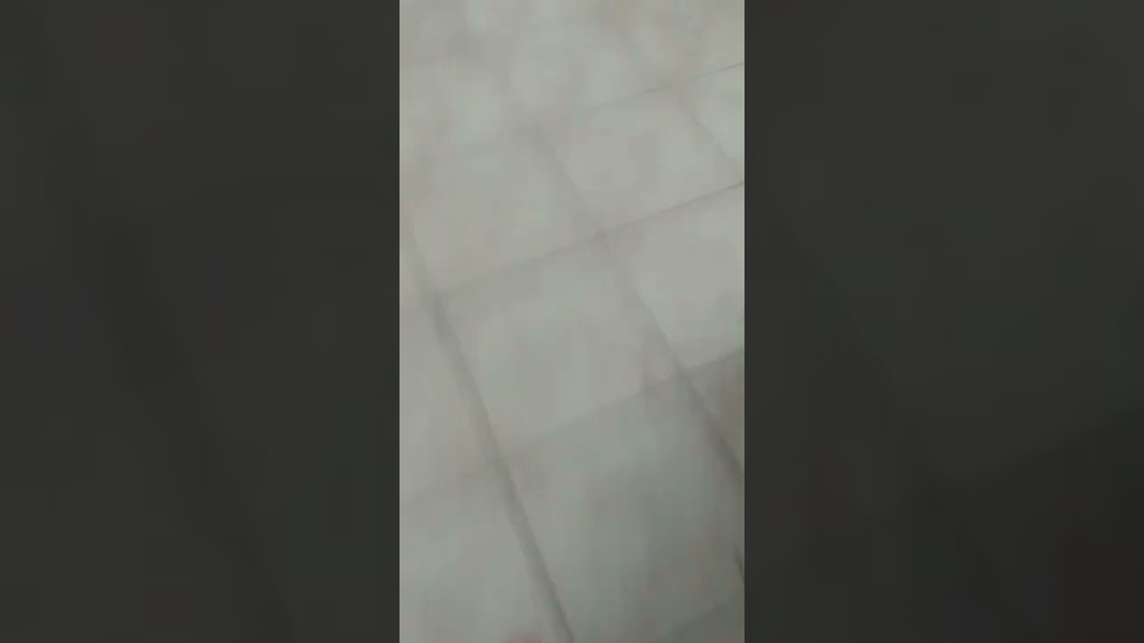 David Pritt and MonaLisa Leto raging at Deedee because Allen Ghostwell ...