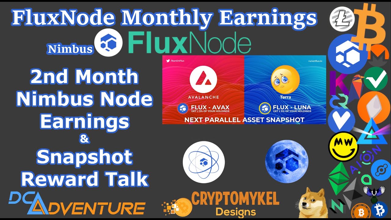 Node Update - 2nd Month Nimbus Node Earnings & Snapshot Reward Talk ...