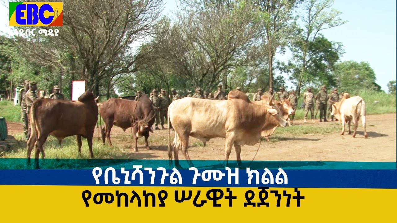 የቤኒሻንጉል ጉሙዝ ክልል የመከላከያ ሠራዊት ደጀንነት Etv Ethiopia News Youtube
