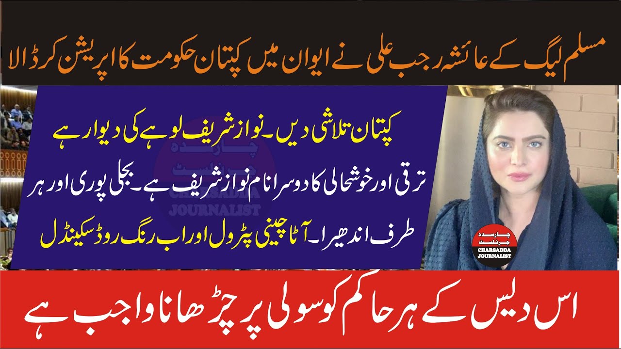 PMLN Ayesha Rajab Ali Aggressive Speech In National Assembly ...