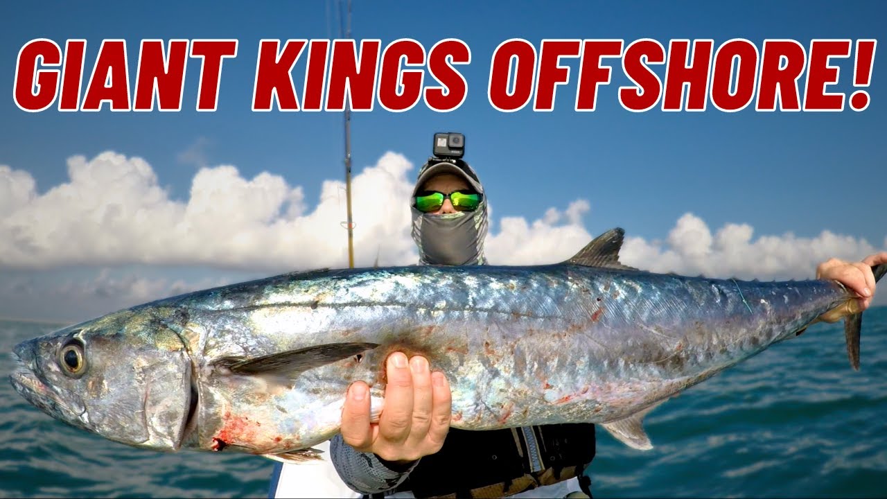 Catching Giant King Mackerel from a Kayak Offshore - (Corpus Christi ...