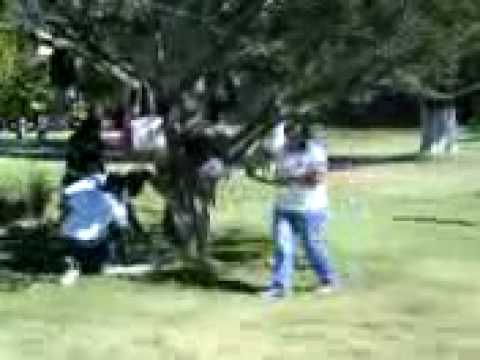 cbtis 173 arina - YouTube
