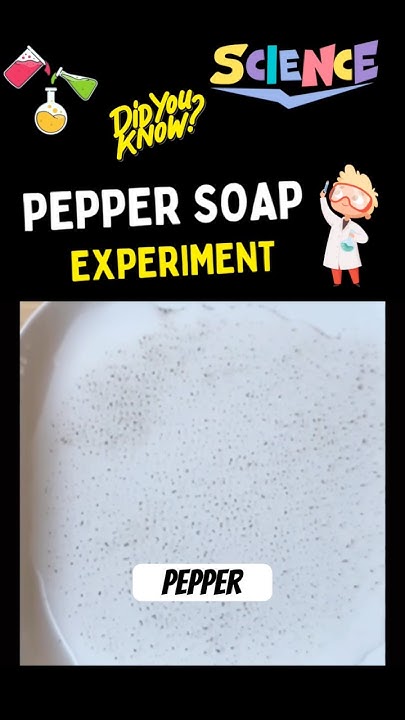 Explore science in action with this easy Pepper and Soap Experiment for ...