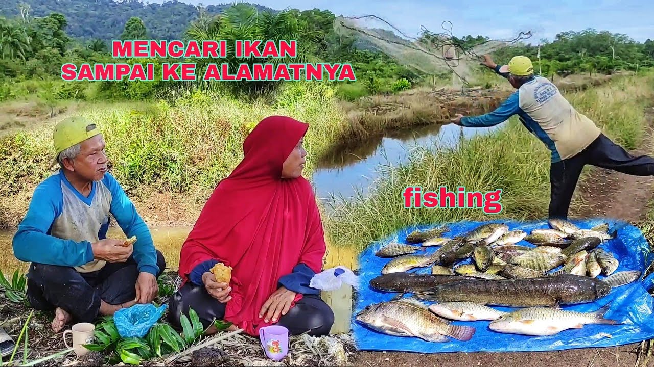 MENCARI IKAN SAMPAI KE ALAMATNYA. - YouTube