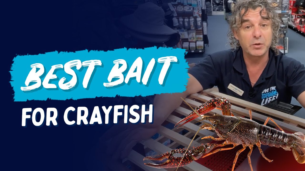 Choosing The Right Bait For Your Craypot - YouTube