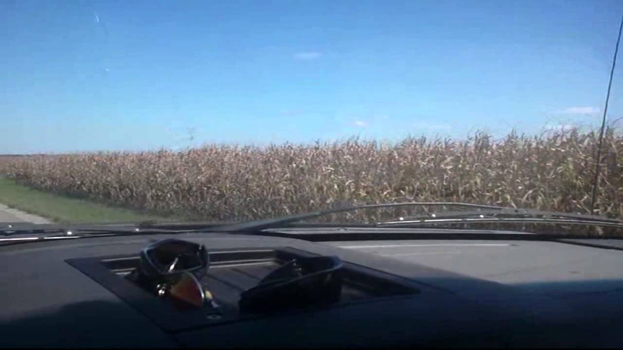 corn fields in illinois - YouTube
