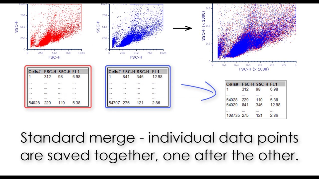 File Merging and Concatenation - (Short video) - YouTube